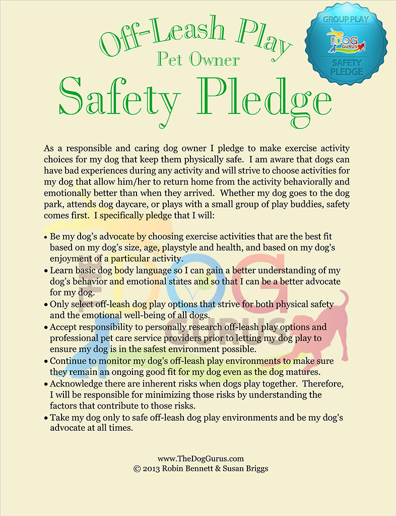 Doggie Daycare in Dallastown PA | York PA | Kennels - Boarding | Tail ...